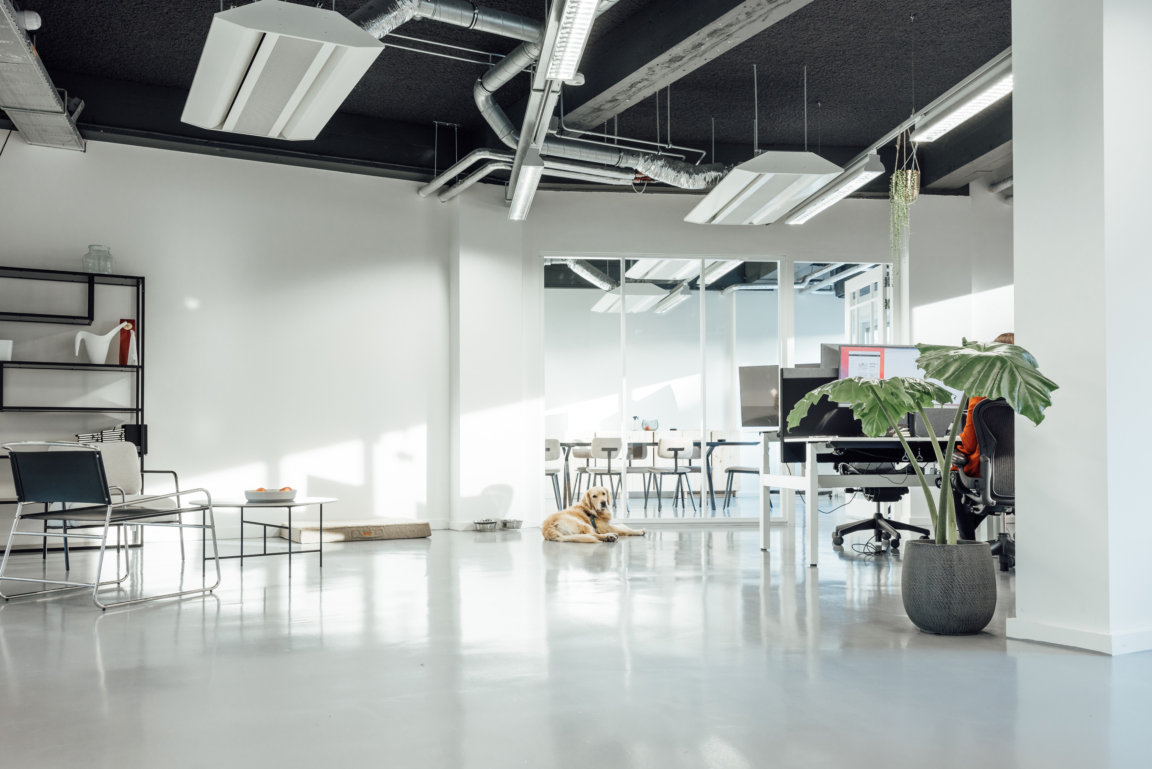 Over ons | Digital Growth Agency